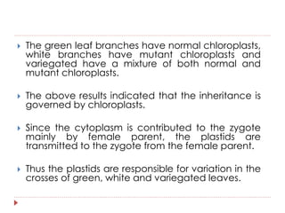 cytoplasmic inheritance | PPTX