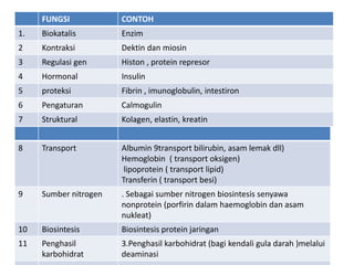 5.protein | PPTX