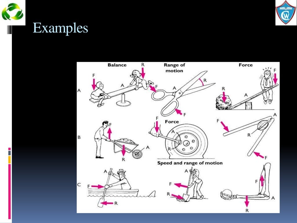 5. inertia, friction, levers