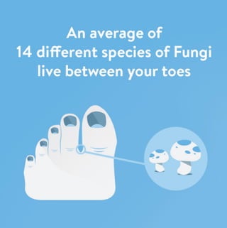 Health Fact: 14 different types of Fungi live between your toes | PDF