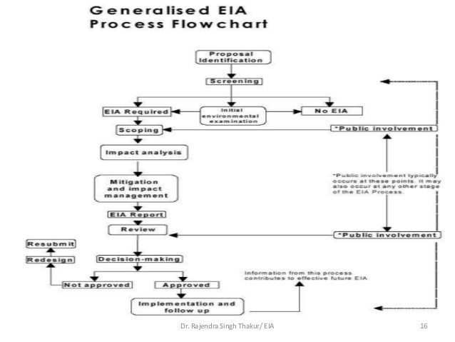 EIA process