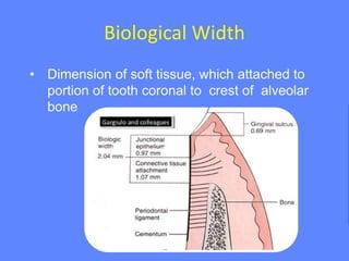 Restoration of traumatically fractured anterior teeth | PPTX