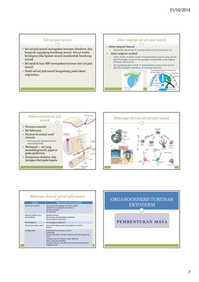 5. neurulasi dan organogenesis ektoderm | PDF