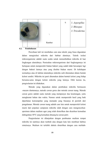 Laporan Mikrobiologi - Teknik Isolasi Mikroba | DOC