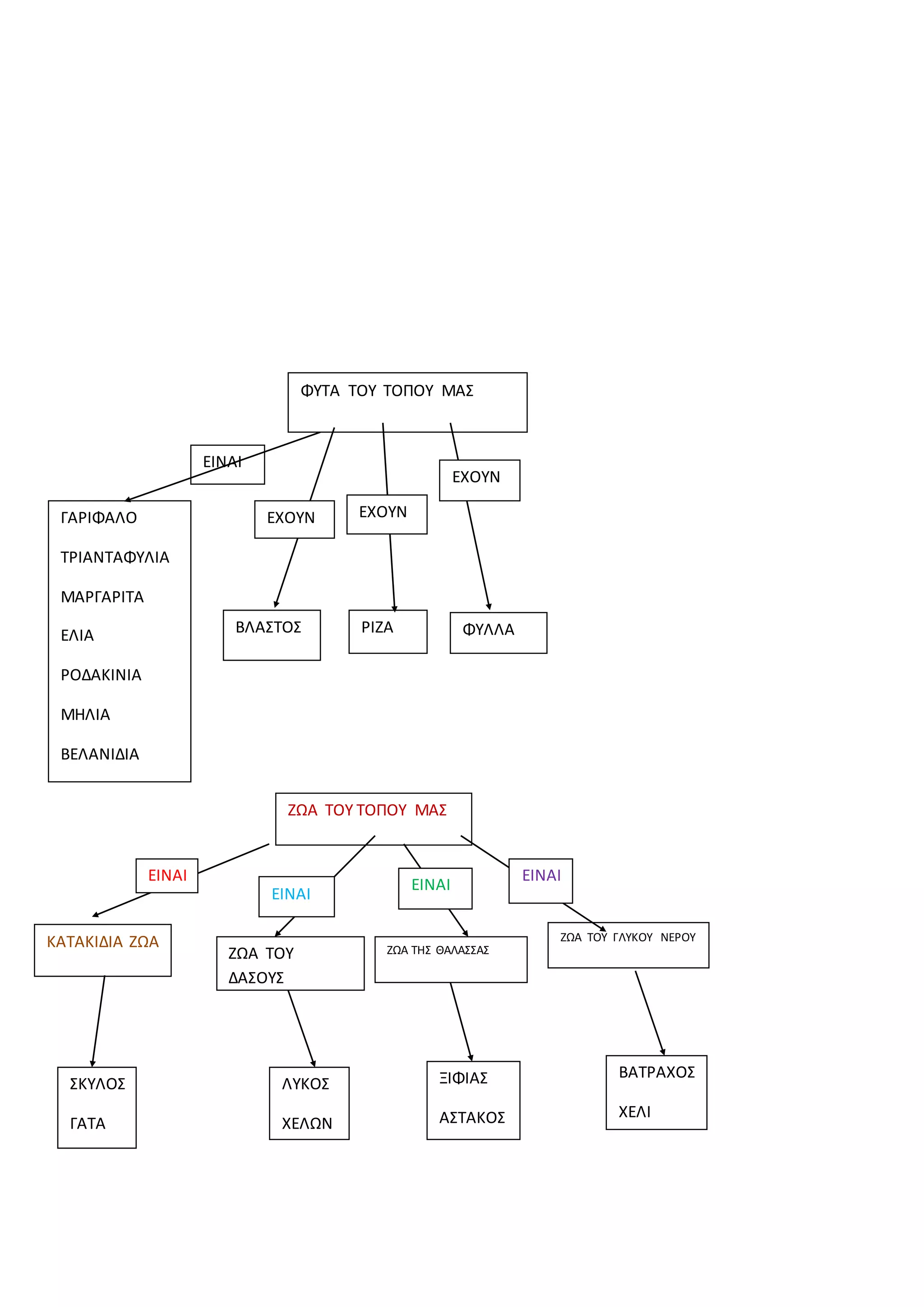 φυτα ζωα 5 | DOCX