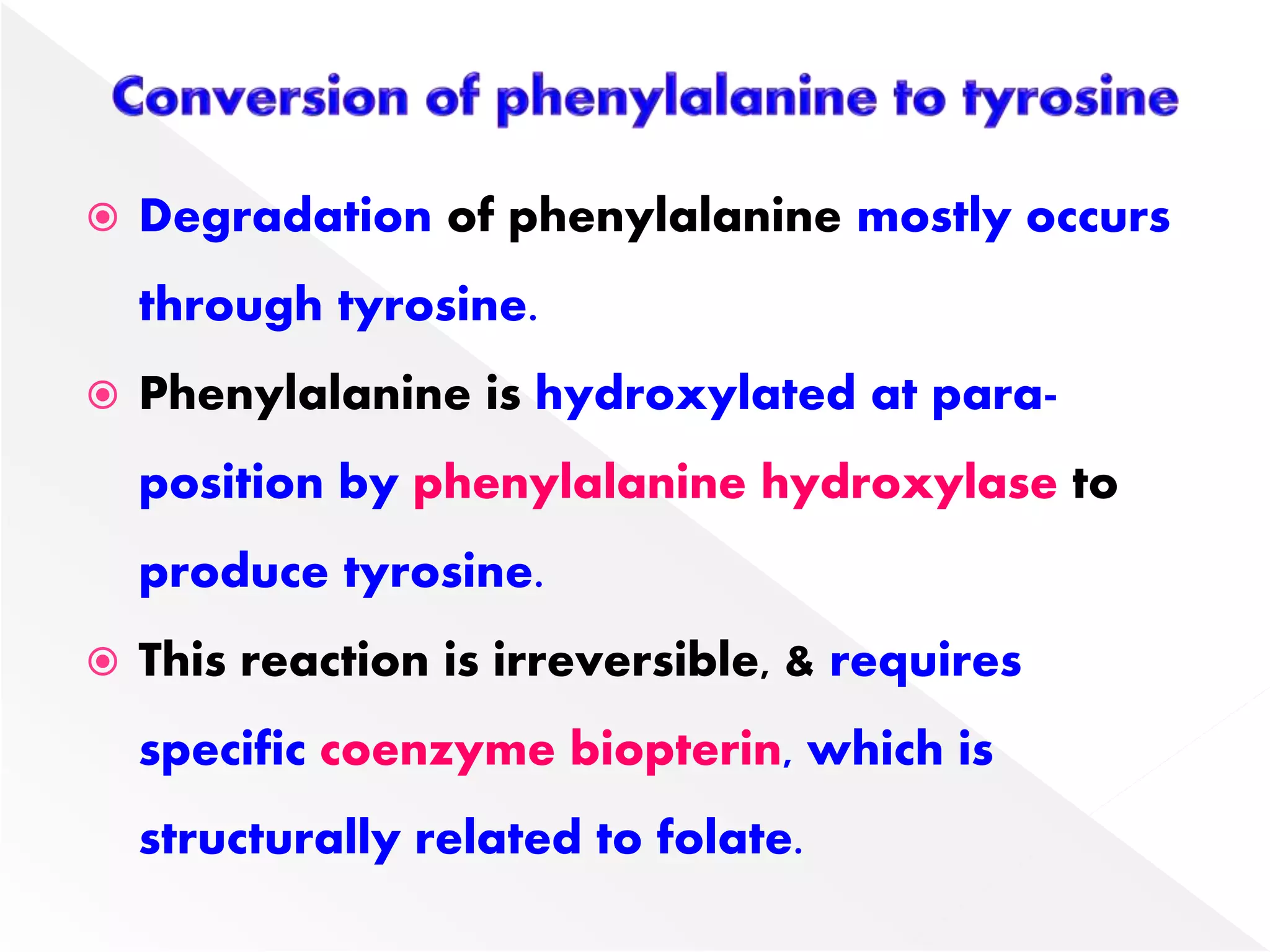 PHENYLALANINE METABOLISM | PPTX