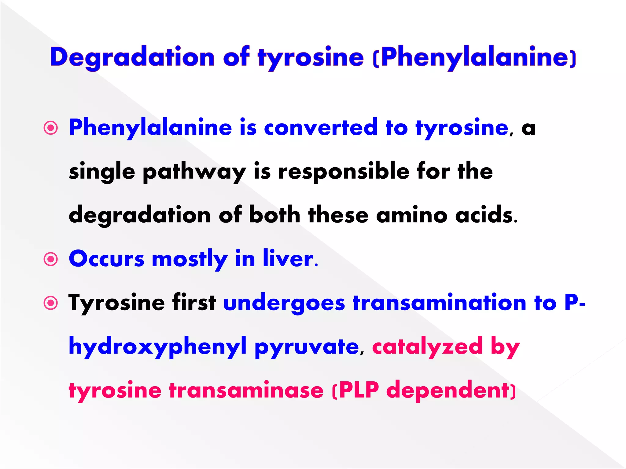 PHENYLALANINE METABOLISM | PPTX