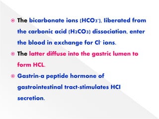 GASTRIC FUNCTION TESTS | PPTX