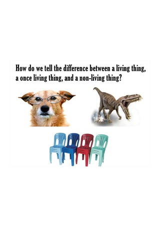 5.1 Notes: Living, Non-Living, Once Living | PDF