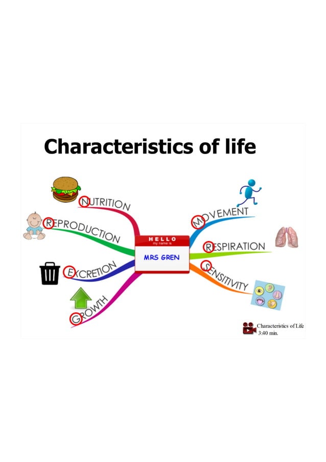 5.1 Notes: Living, Non-Living, Once Living | PDF