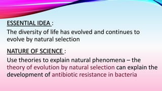 IB Biology : 5.2 Natural Selection | PPTX