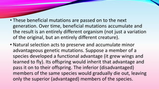 IB Biology : 5.2 Natural Selection | PPTX