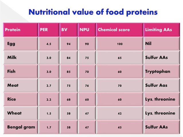 NUTRITIONAL IMPORTANCE OF PROTEINS | PPTX | Chemistry | Science