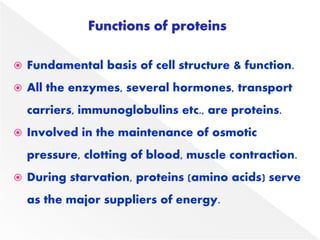 What Are Proteins Definition Structures Importance