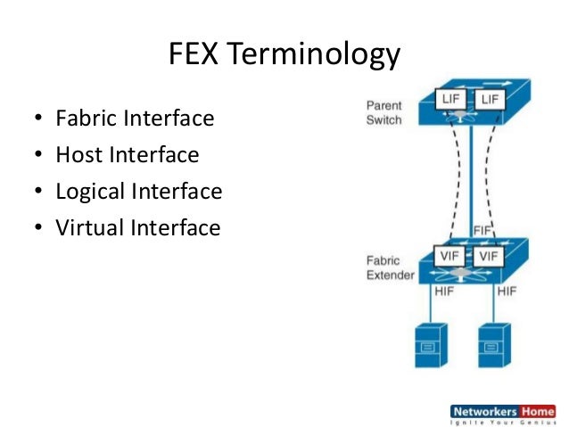 FEX -PPT By NETWORKERS HOME