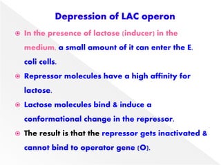 REGULATION OF GENE EXPRESSION | PPTX