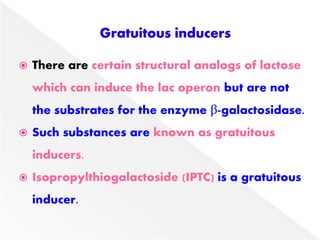REGULATION OF GENE EXPRESSION | PPTX
