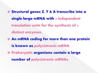 REGULATION OF GENE EXPRESSION | PPTX