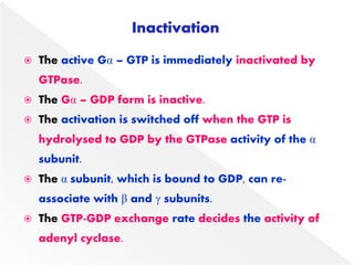 MECHANISM OF ACTION OF HORMONES | PPTX