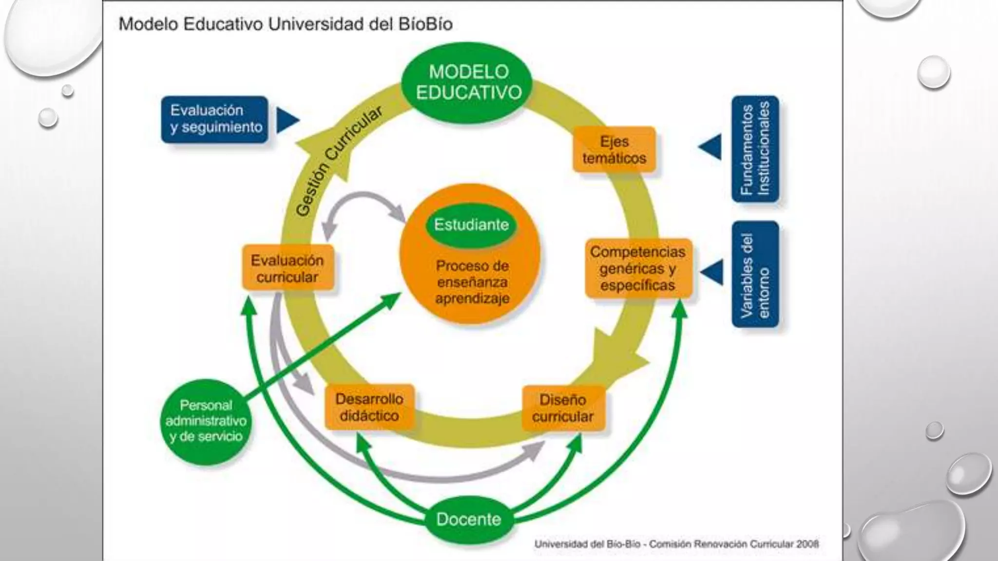 5. modelos curriculares | PPTX