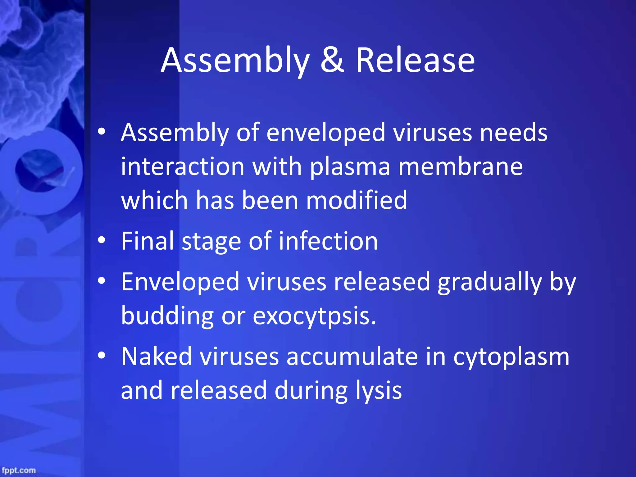 Virus, Viroids and Prions | PPTX