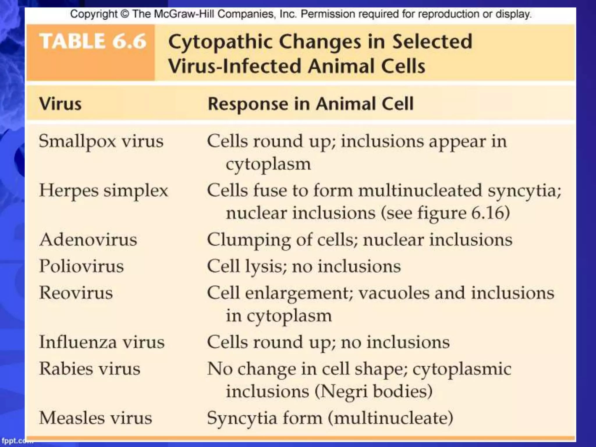 Virus, Viroids and Prions | PPTX