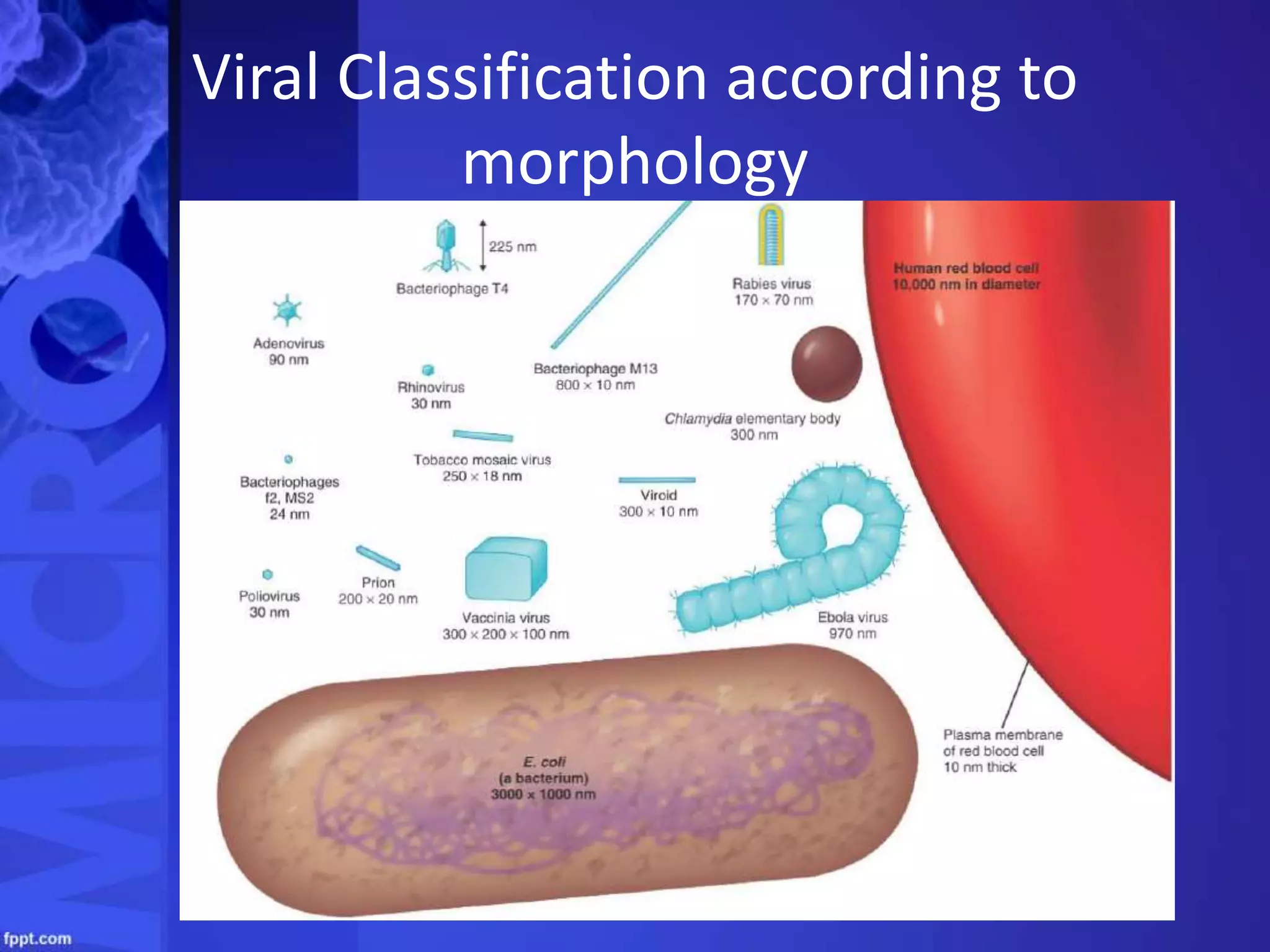 Virus, Viroids and Prions | PPTX