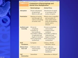 Virus, Viroids and Prions | PPTX