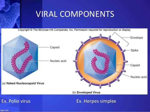 Virus, Viroids and Prions