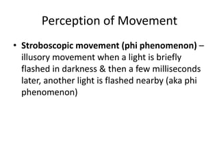 Stroboscopic Movement Psychology