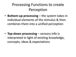 5. perception | PPTX