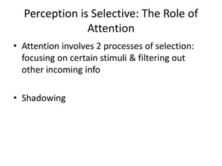 5. perception | PPTX