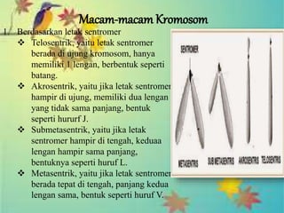 Genetika dan Reproduksi Sel | PPT