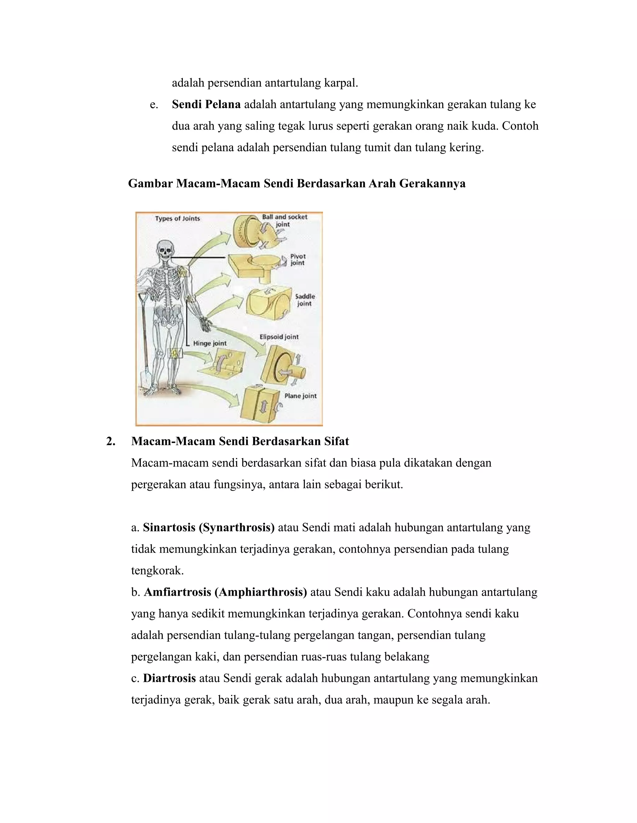 Jenis sendi, tendon, dan ligamen sistem haver | DOC