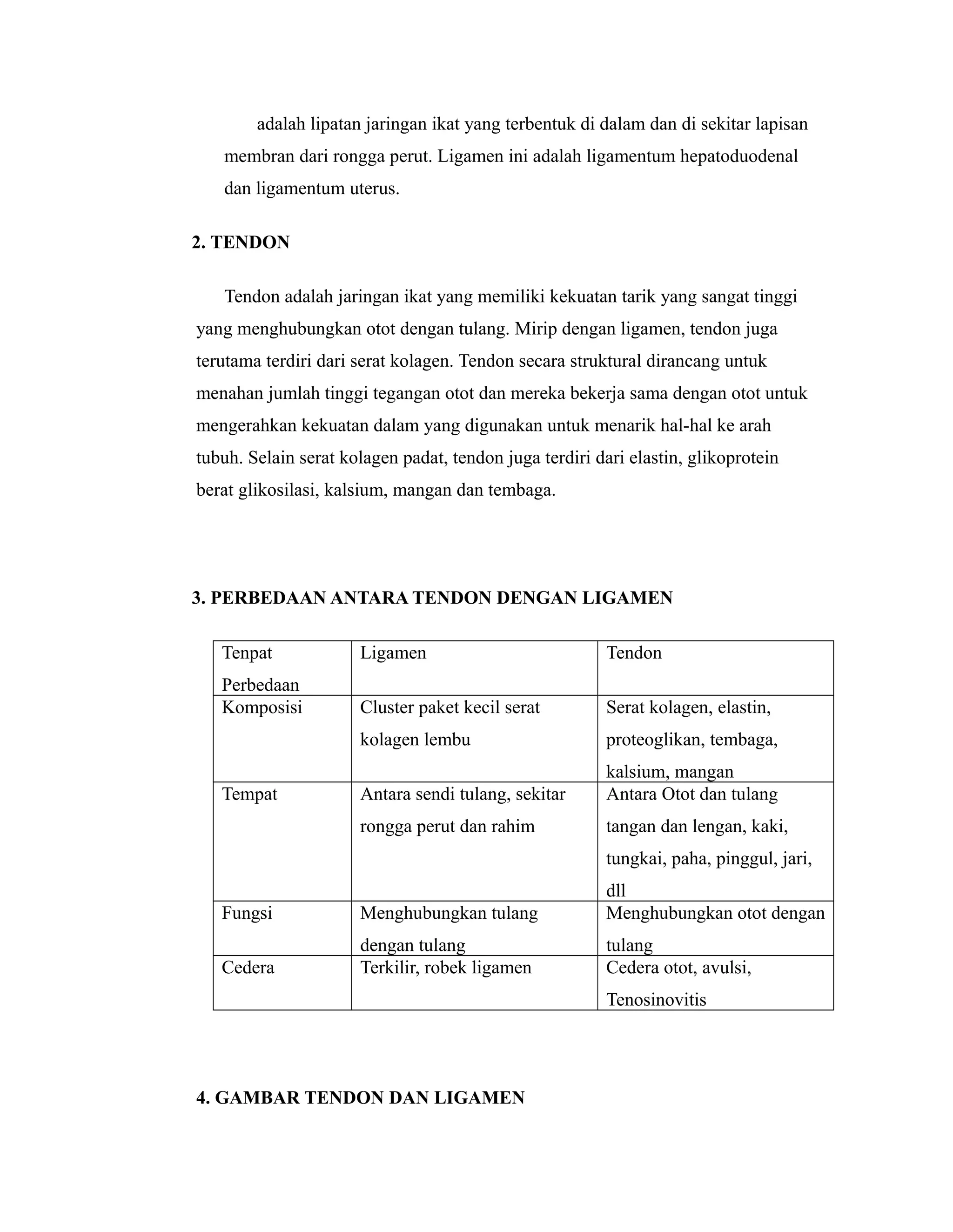 Jenis sendi, tendon, dan ligamen sistem haver | DOC