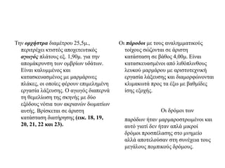 α' αρχαιο θεατρο λαρισας | PPTX