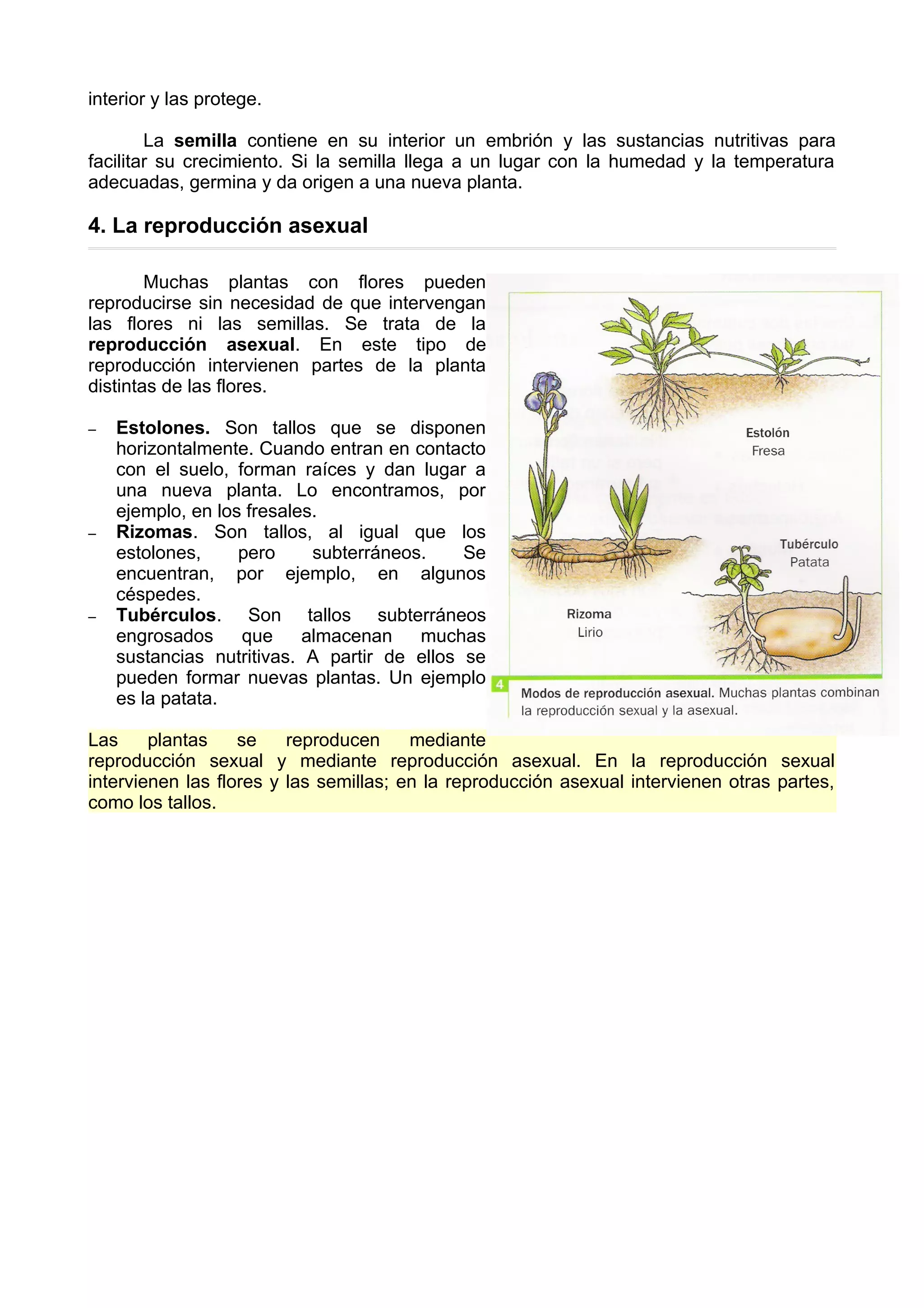 5.la reproduccion de_las_plantas | PDF