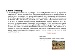 5.mechanical control of A lecture by Allah Dad Khan | PPT