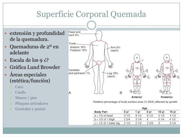 Quemaduras en Pediatría por Nadia Menéndez Auld