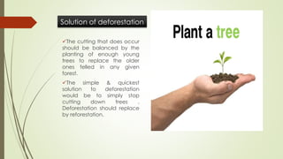 Deforestation | PPT
