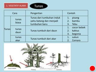 5. perkembangbiakan tumbuhan | PPSX