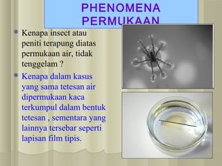 5. kimia permukaan | PPT
