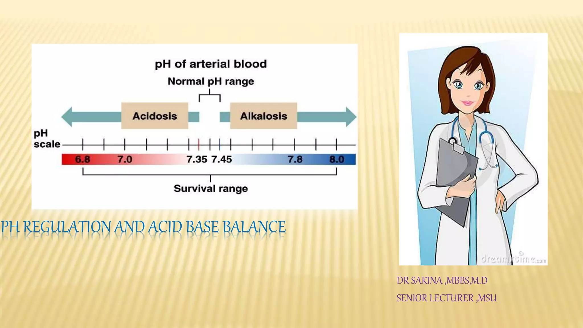 5.sakina respiratory regulation of ph | PPTX