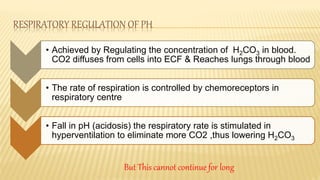5.sakina respiratory regulation of ph | PPTX