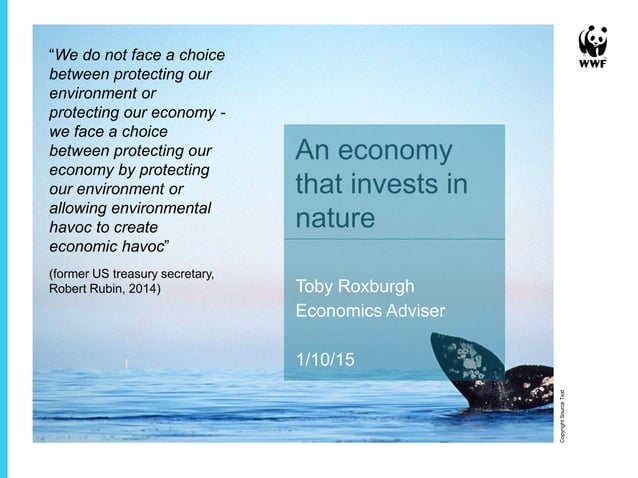 5. Toby Roxburgh WWF | PDF