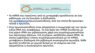 5.2 biologia g | PPTX