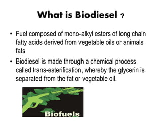 Biodiesel | PPTX