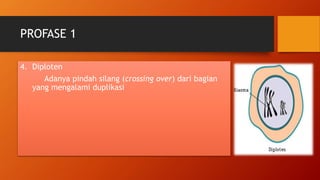5. pembelahan meiosis | PPTX