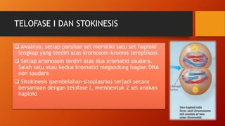 5. pembelahan meiosis | PPTX