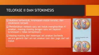 5. pembelahan meiosis | PPTX
